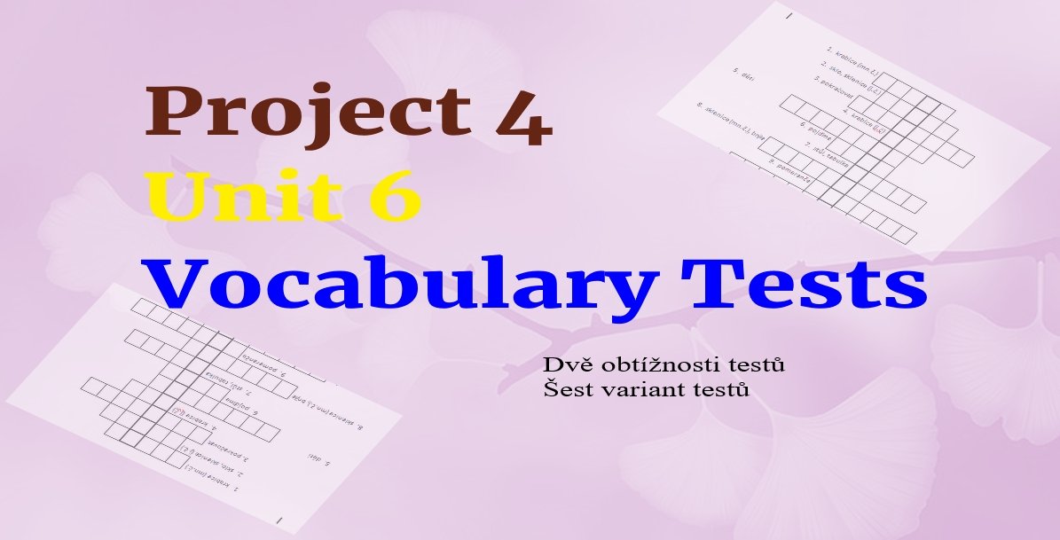 Project 4 Unit 6 - Testy na slovíčka - Učíme AJ